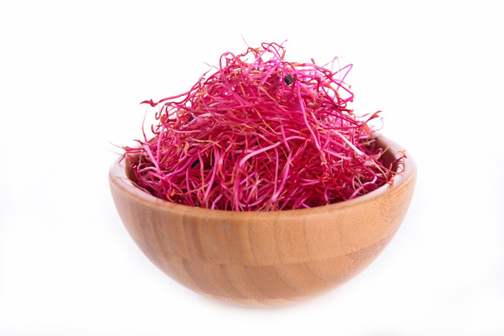 cvikla červená - bull's blood - Váha: 50g - non-GMO SEMENÁ - bežná ...