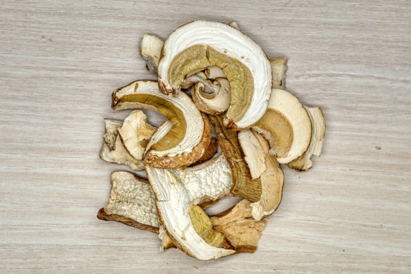hríb dubový - Boletus reticulatus :: pestuj.sk
